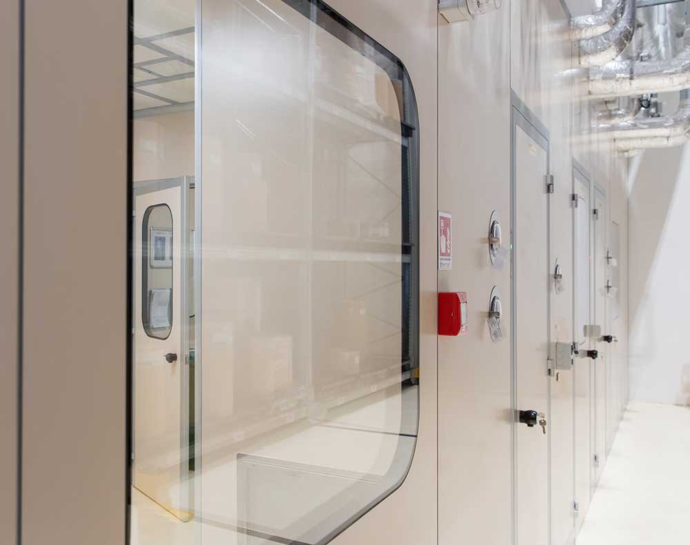 APIS FOR SPECIALTY DRUGS – ICROM