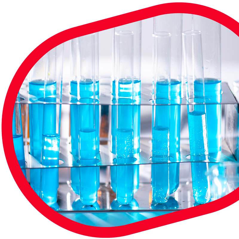 Proxis Développement Group – ICROM